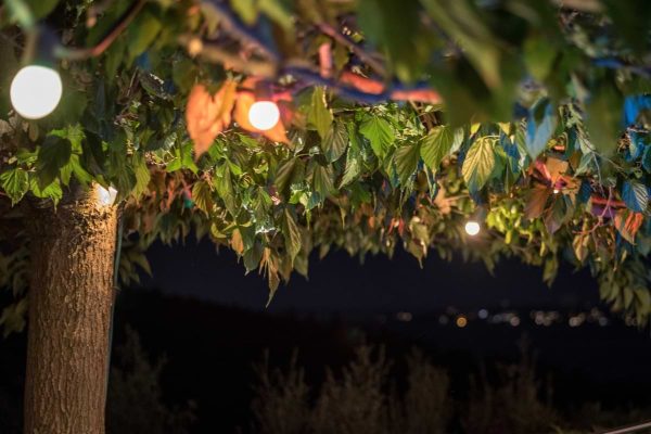10 Ways to Use Festoon Lights Around the Home | LED Lighthouse